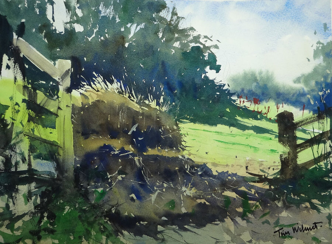 Tim Wilmot Watercolours, Courses, Workshops and Demos – timwilmot